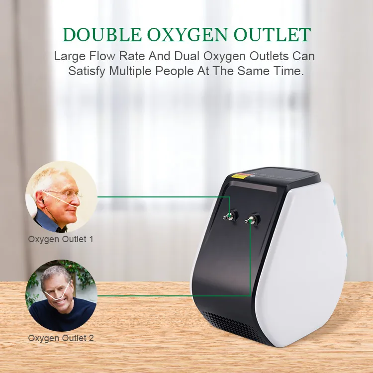2L,3L,4L,5L,6L,7L Dual Outlets Homecare Oxygen Concentrator - High ...